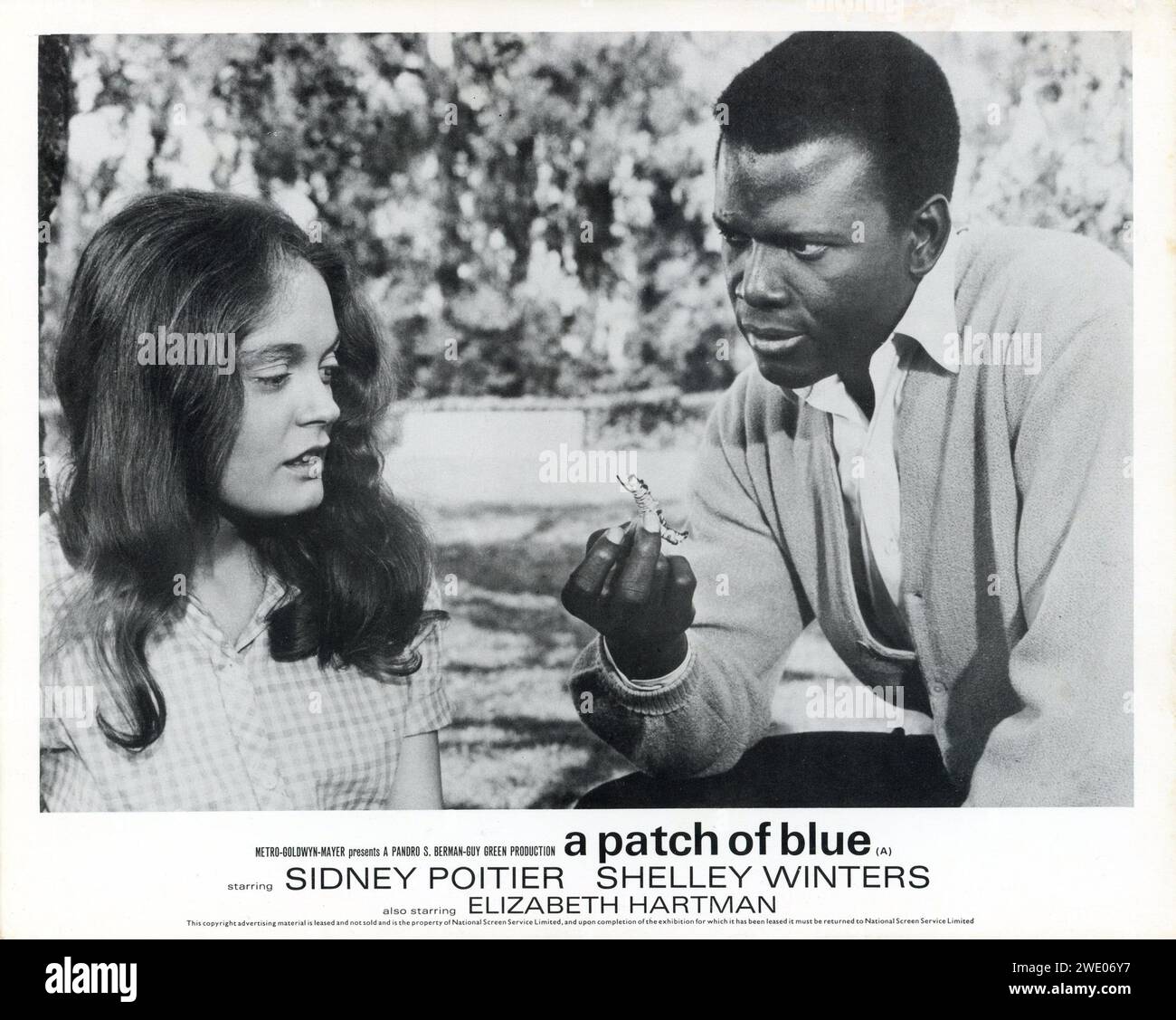 ELIZABETH HARTMAN and SIDNEY POITIER in A PATCH OF BLUE 1965 director ...