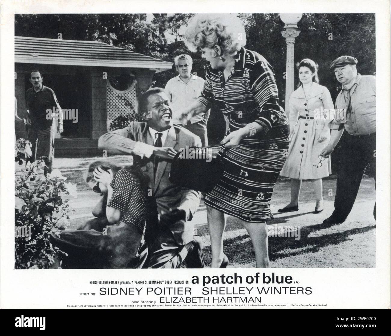 ELIZABETH HARTMAN SIDNEY POITIER and SHELLEY WINTERS in A PATCH OF BLUE ...