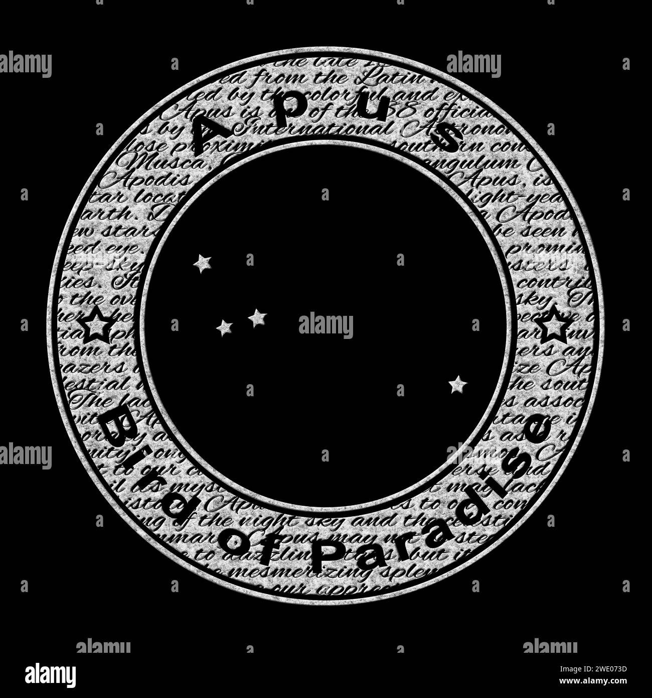 Apus Star Constellation, On Black Background, Bird of Paradise ...