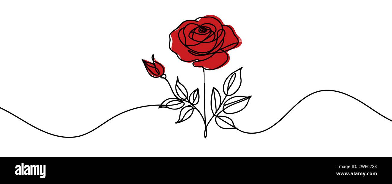One line drawing of a rose isolated Stock Vector Image & Art - Alamy