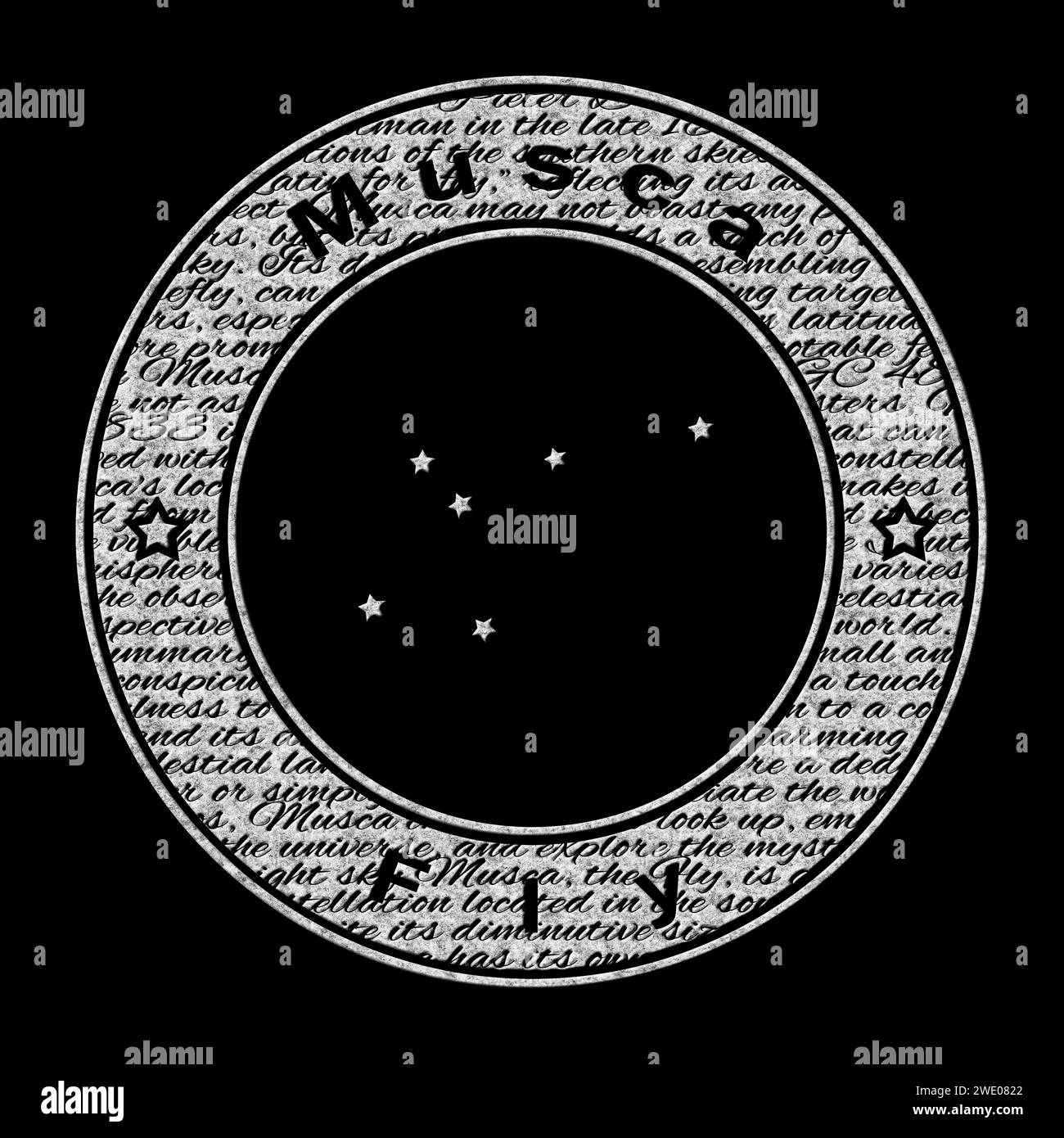 Musca Star Constellation, On Black Background, Fly Constellation Stock ...