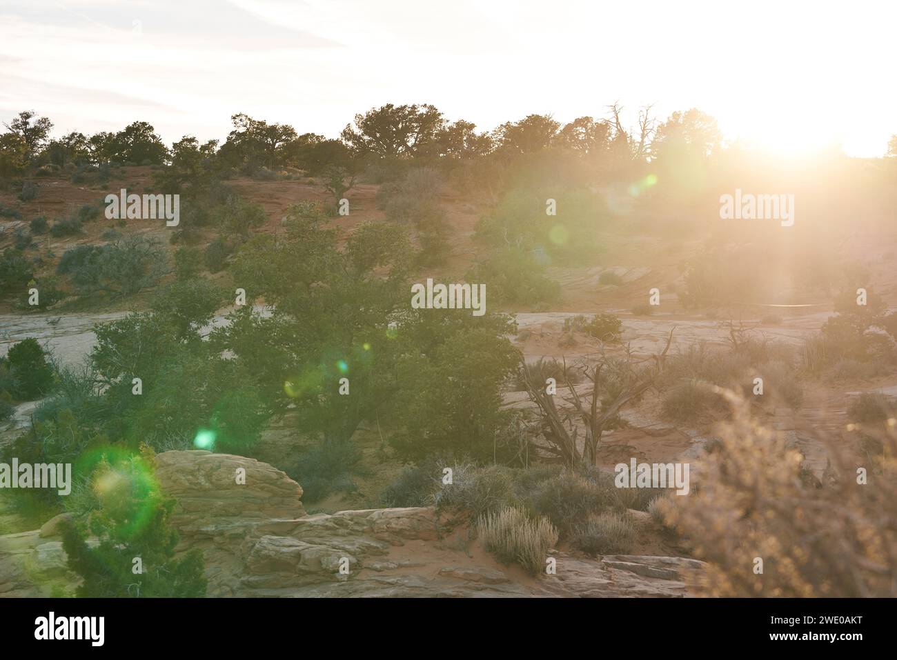 A abstract photograph of the utah desert. The sun glows golden, giving ...