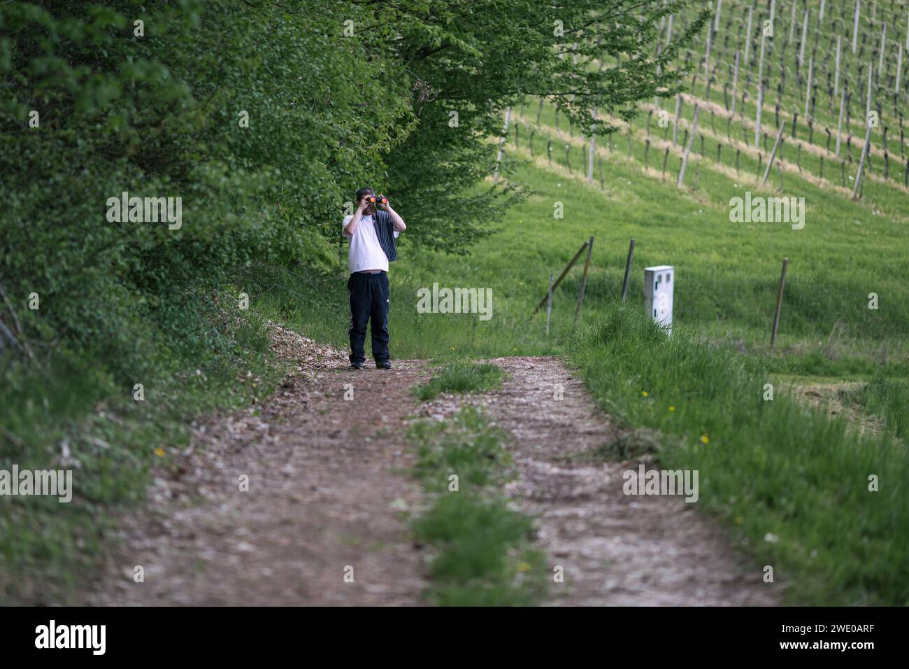 Observing activity hi-res stock photography and images - Alamy