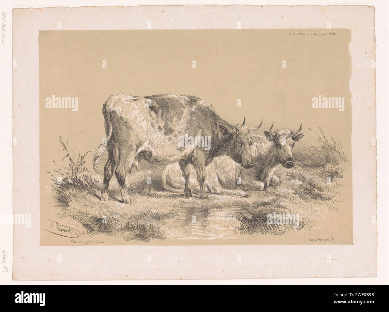 Study of two cows, Pierre Frédéric Lehnert, 1838 - 1840 print Paris ...