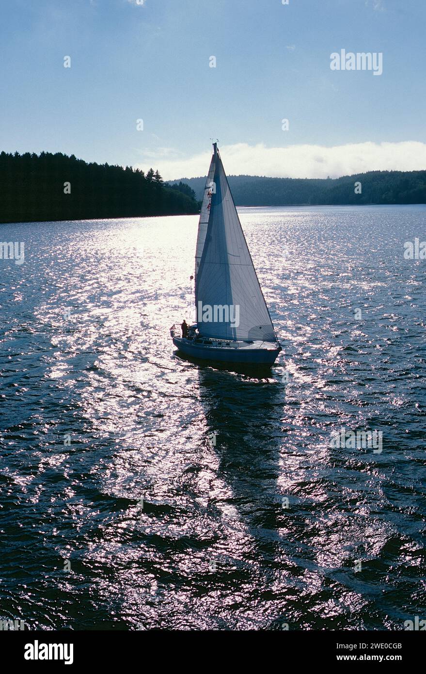 Sailing Regatta; Yaquina Bay Yacht Club; Yaquina Bay; Oregon; USA Stock ...