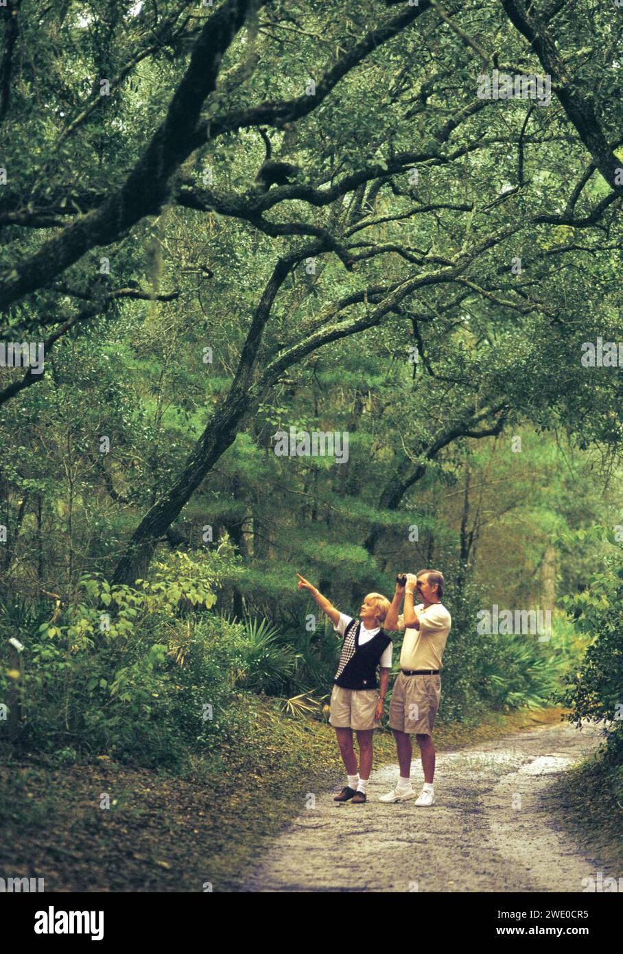 Alabama's Coastal Connection - Birding in Bon Secour National Wildlife ...
