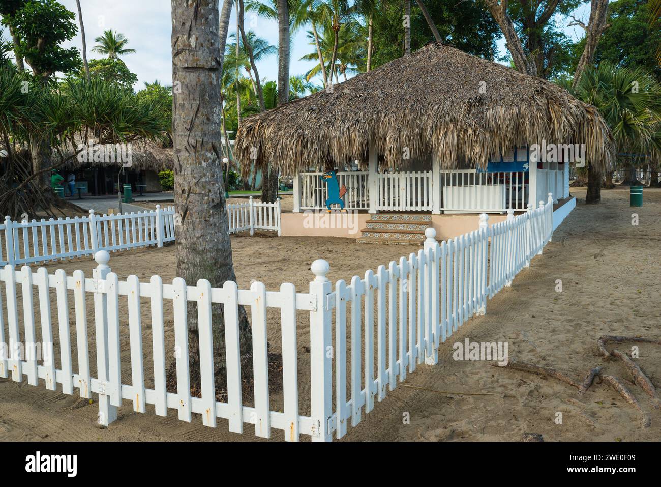 Crime Rate In Puerto Plata Dominican Republic at Alexis Dawkins blog