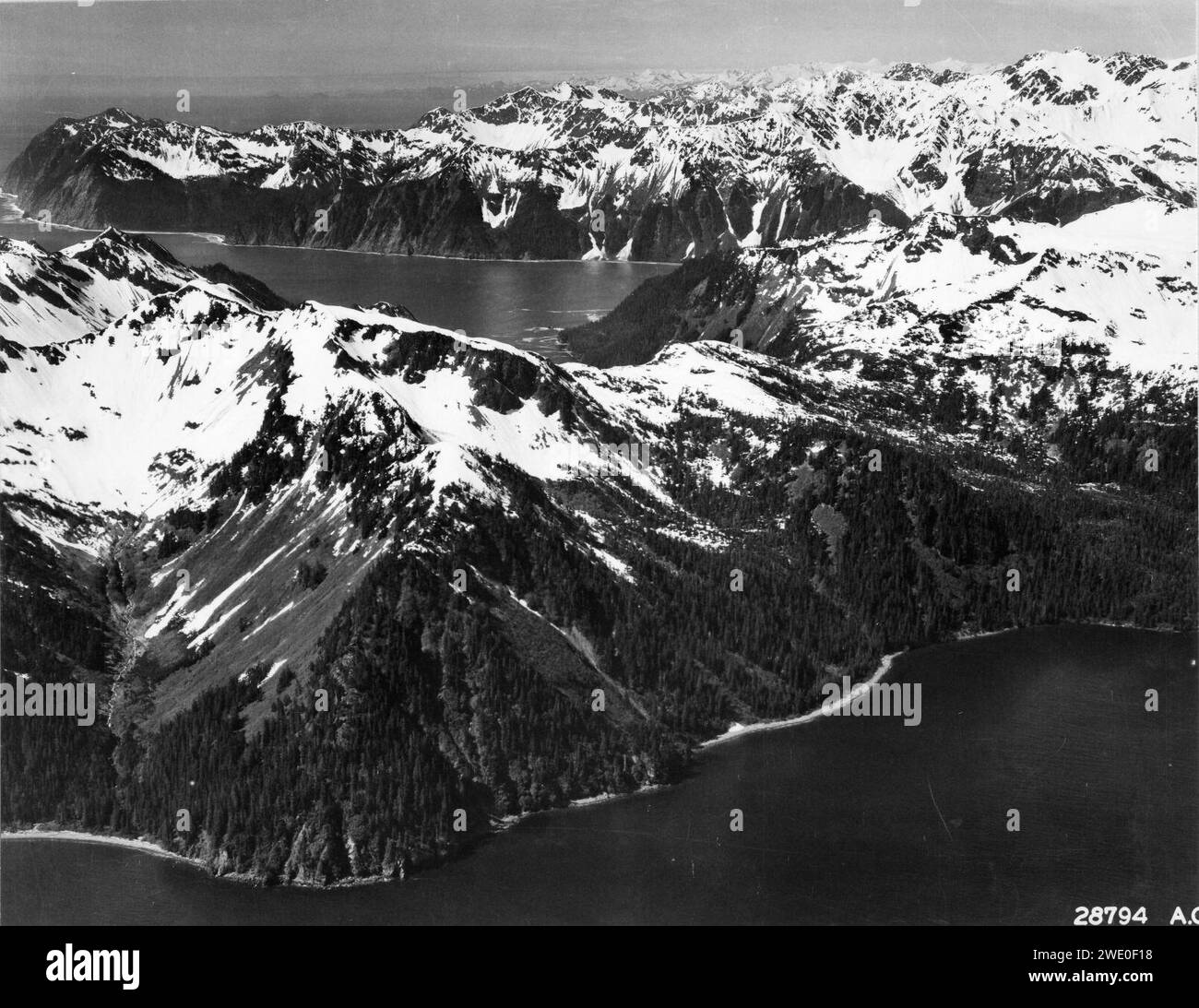 Tiger glacier hi-res stock photography and images - Alamy