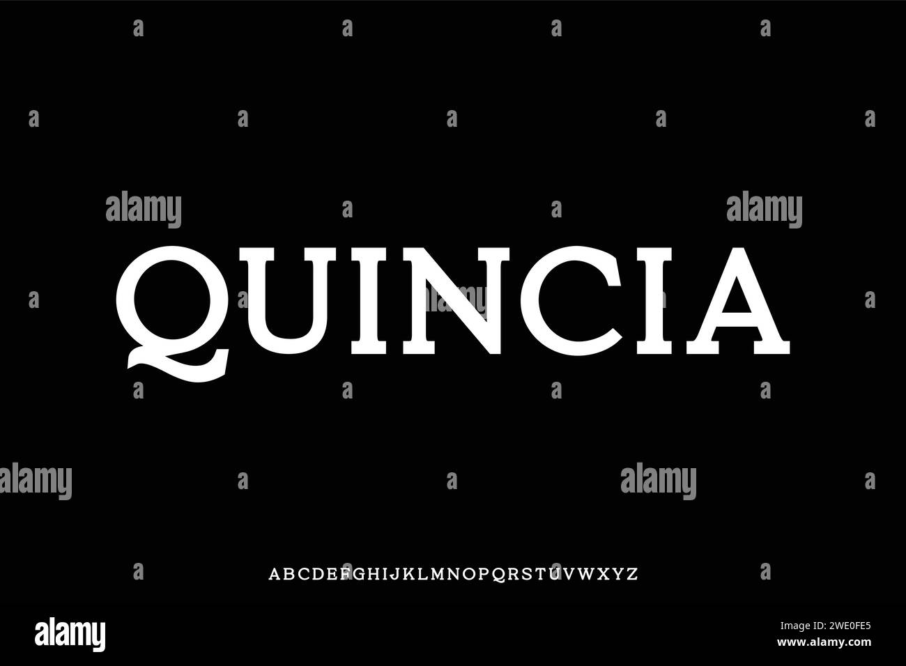 Clean classic beautiful serif alphabet display font vector Stock Vector ...