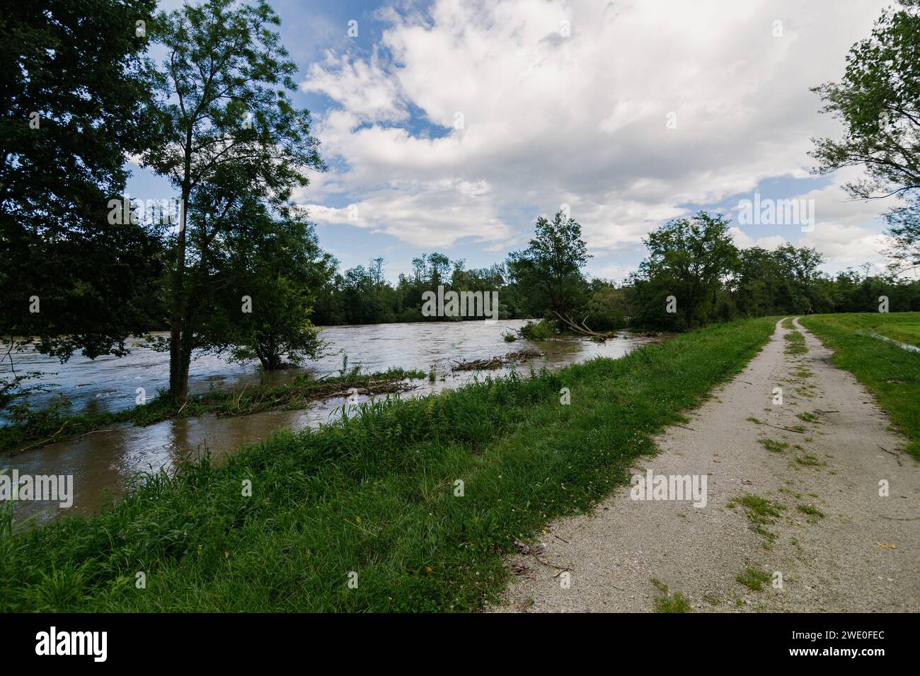 The river Mura in Slovenia after a rain fall. The river is flooding ...