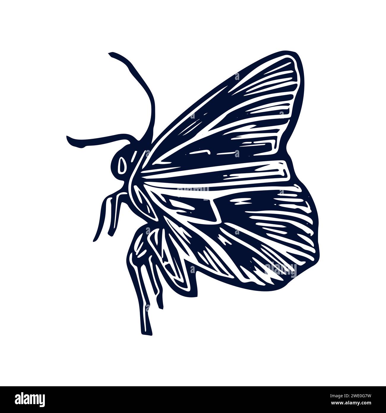 Handmade blockprint butterfly vector motif clipart in folkart scandi ...