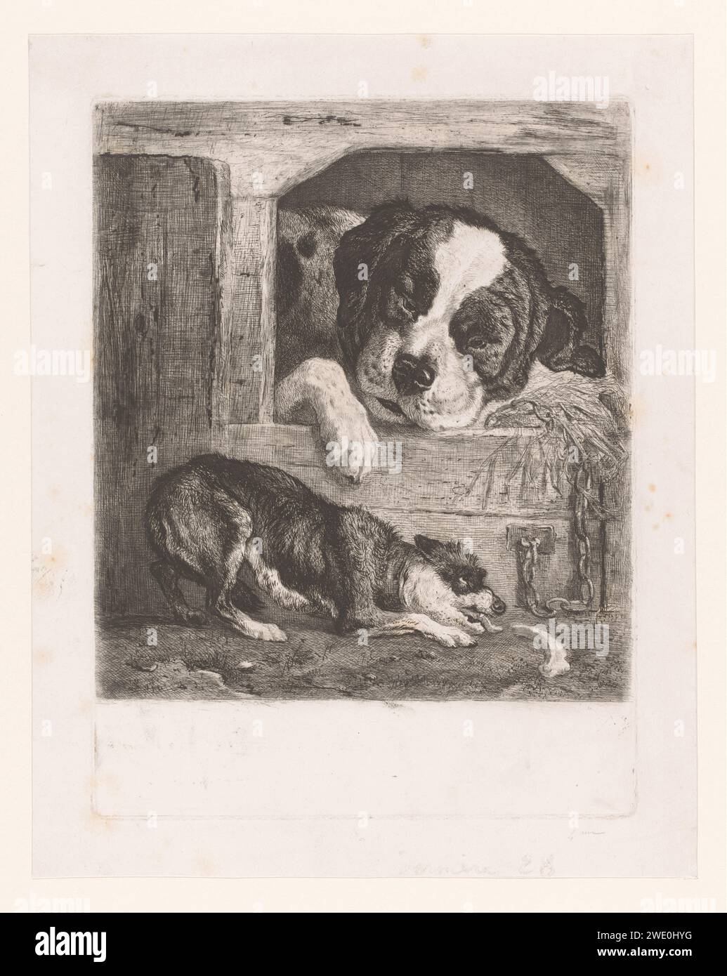 Two dogs, Charles Verlat, 1834 - 1890 print paper ETCHING / DRYPOINT ...