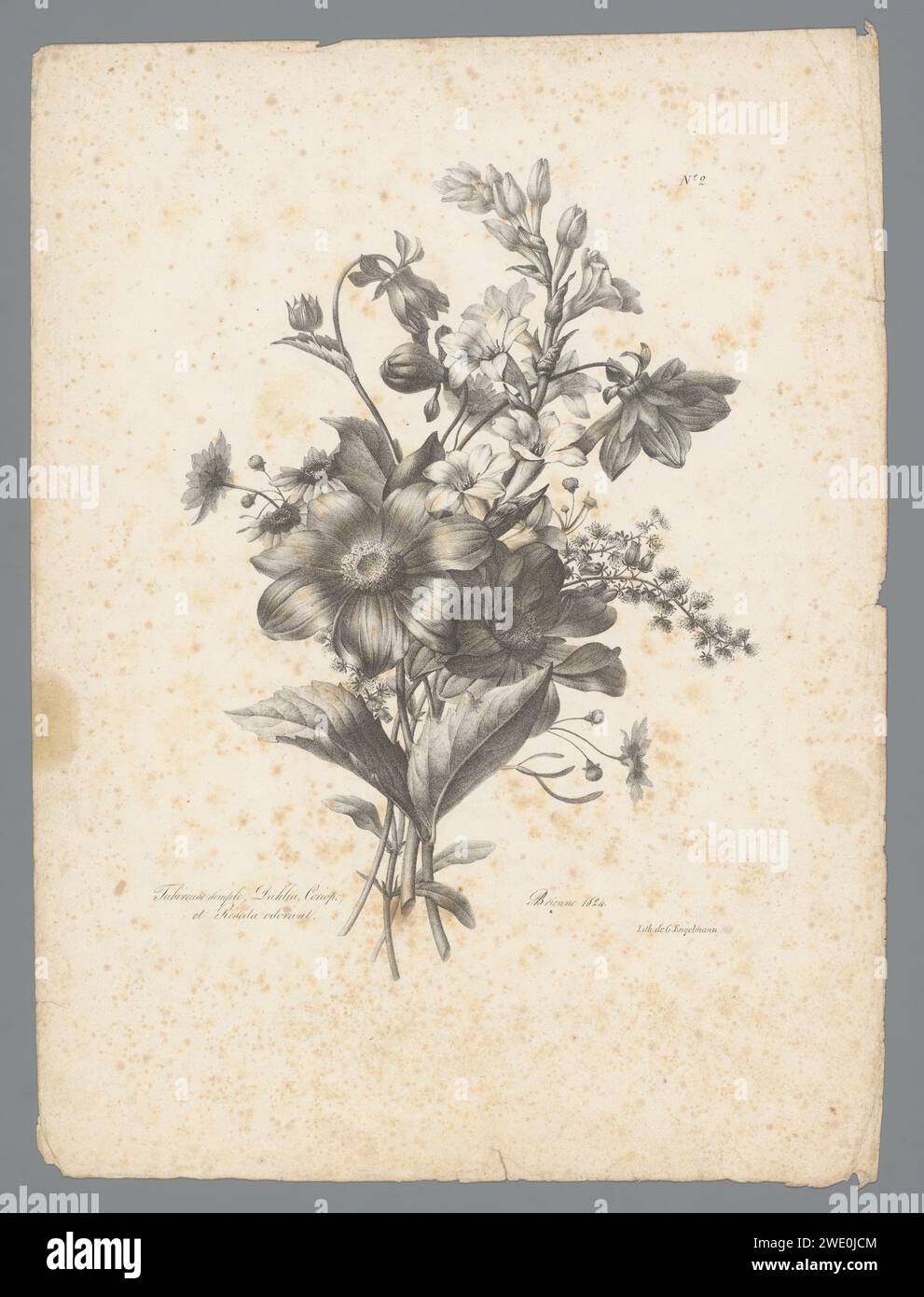 Auguste piquet de brienne hi-res stock photography and images - Alamy