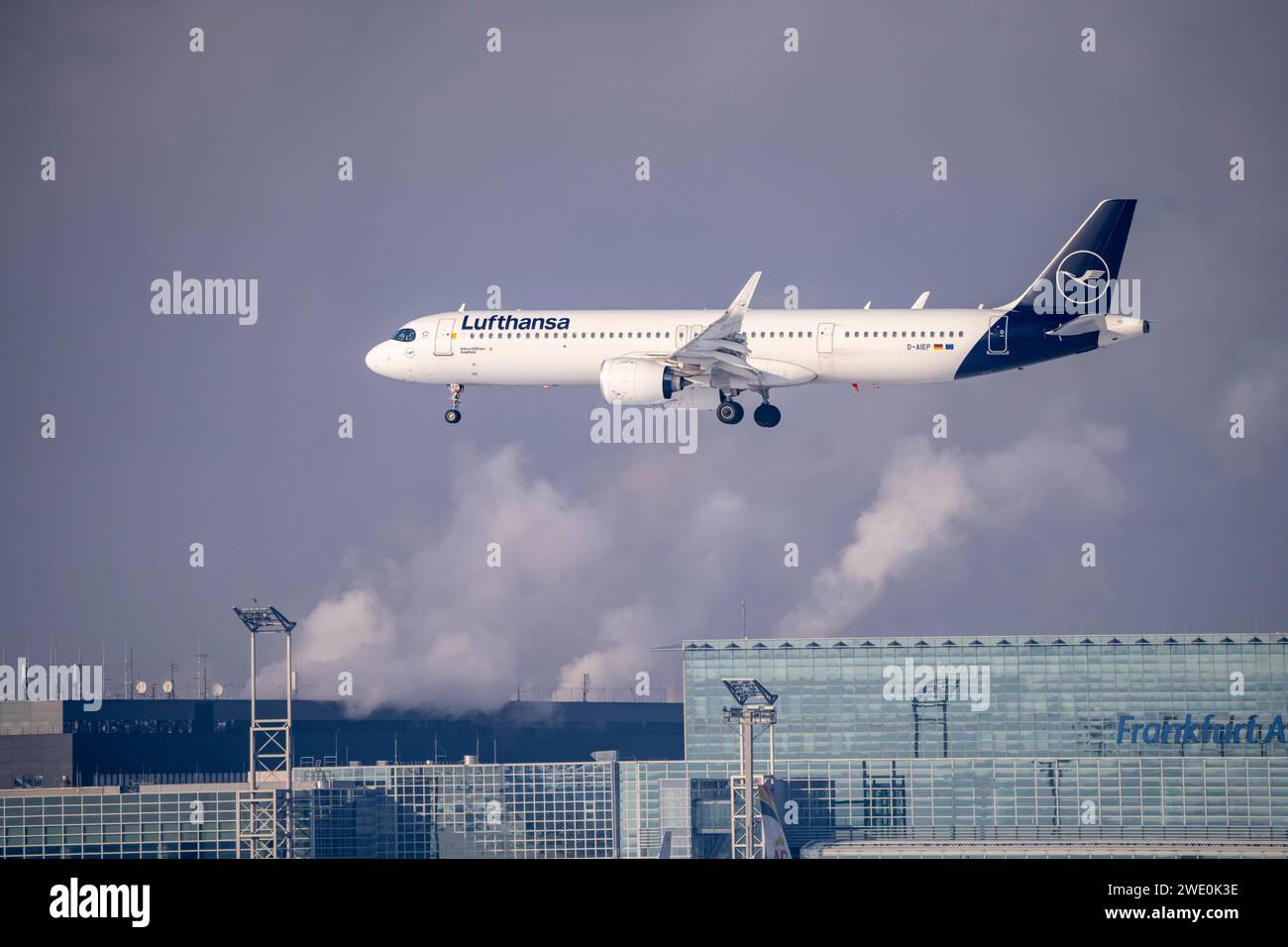 Lufthansa Airbus A321neo, beim Landeanflug auf den Flughafen Frankfurt FRA, Terminalgebäude ...