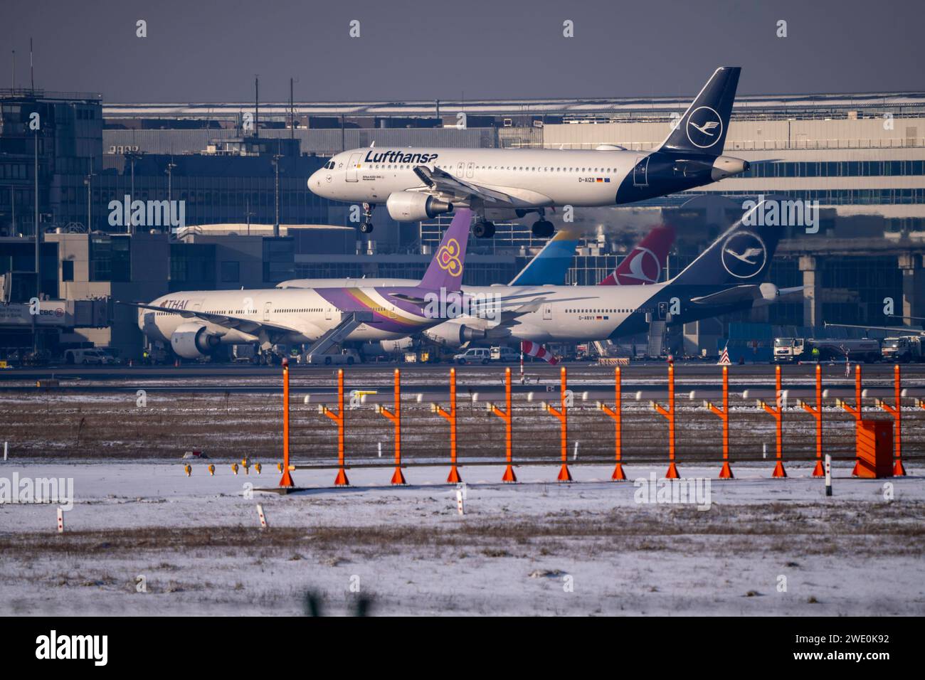 Lufthansa Airbus A320-200 beim Landeanflug auf den Flughafen Frankfurt FRA, Terminalgebäude ...