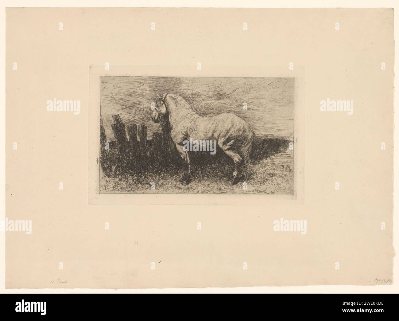 Horse with halter near a fence, Alfred Verwee, 1848 - 1895 print paper ...