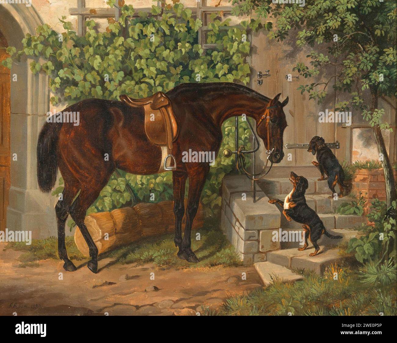 Albrecht Adam Gesattelter Brauner und neugierige Dackel 1850 Stock ...