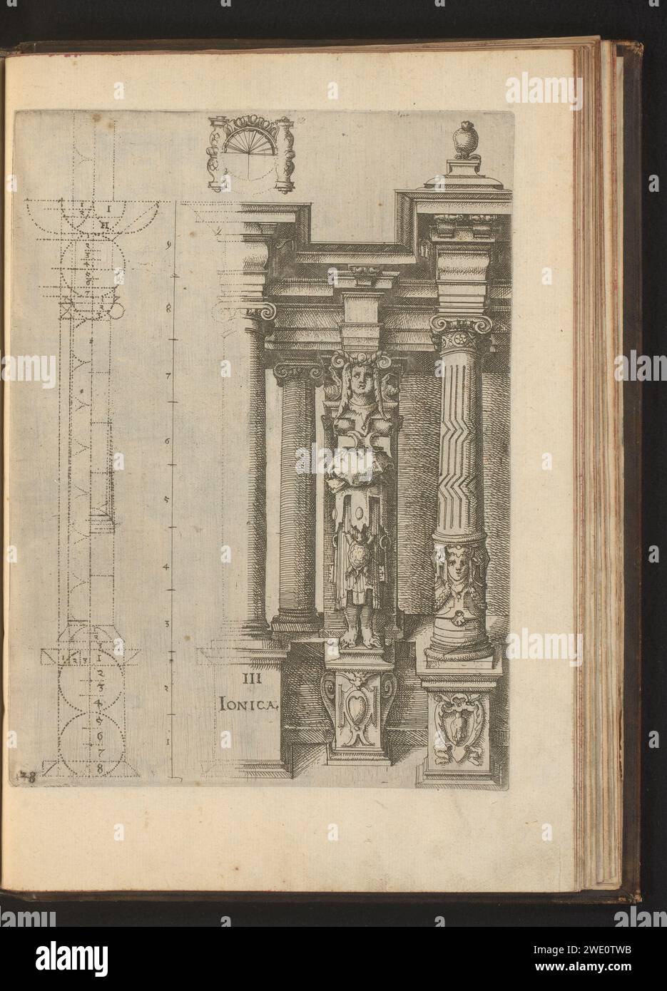 Proportions of the Ionian column order with a caratide as a pilaster ...