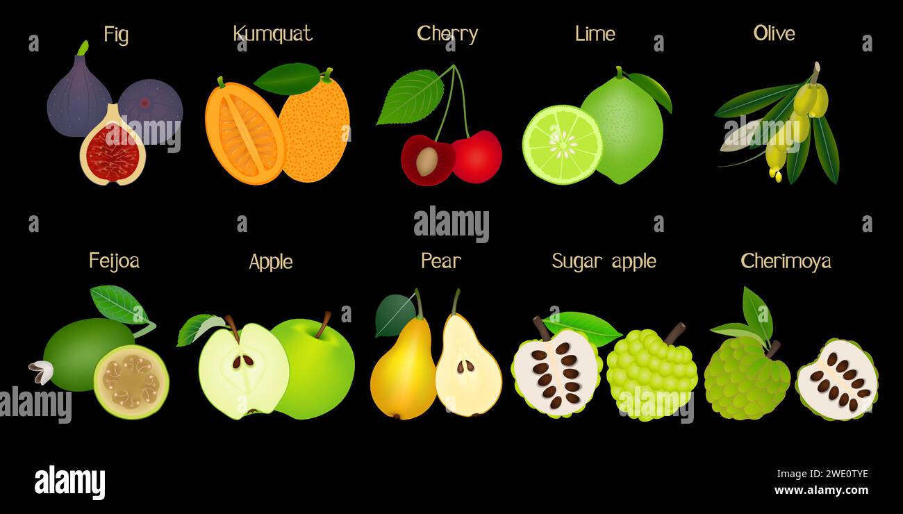 Set of whole fruits and a half isolated on a black background Stock ...