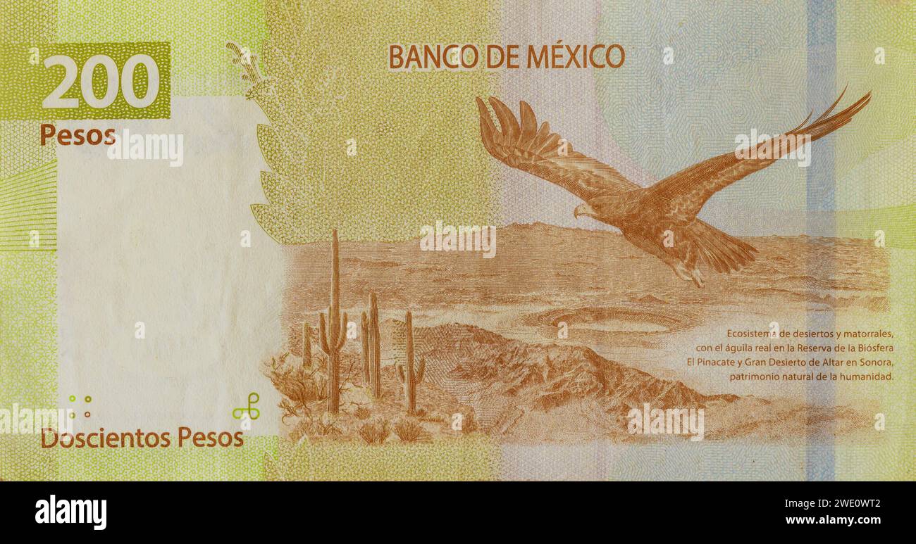 Mexico 200 pesos banknote close up Mexican money bills currency rear ...