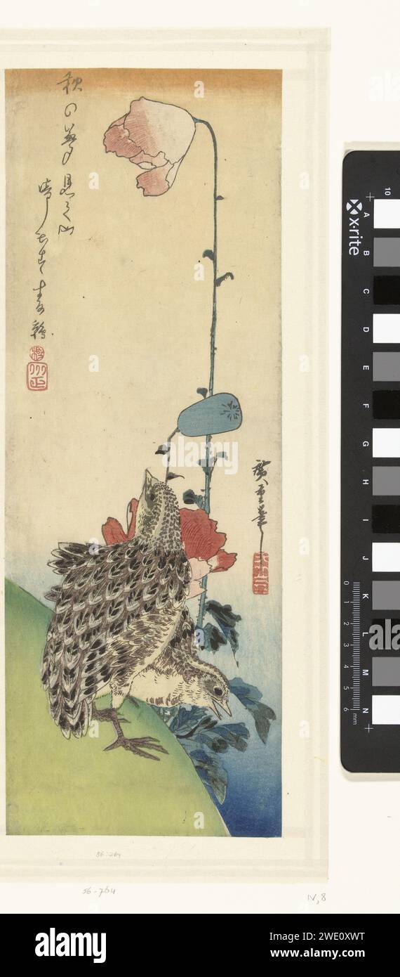 KWARTELS EN PAPAVERS, HIROSHIGE (I), Utagawa, 1830-1835 print Two quail ...