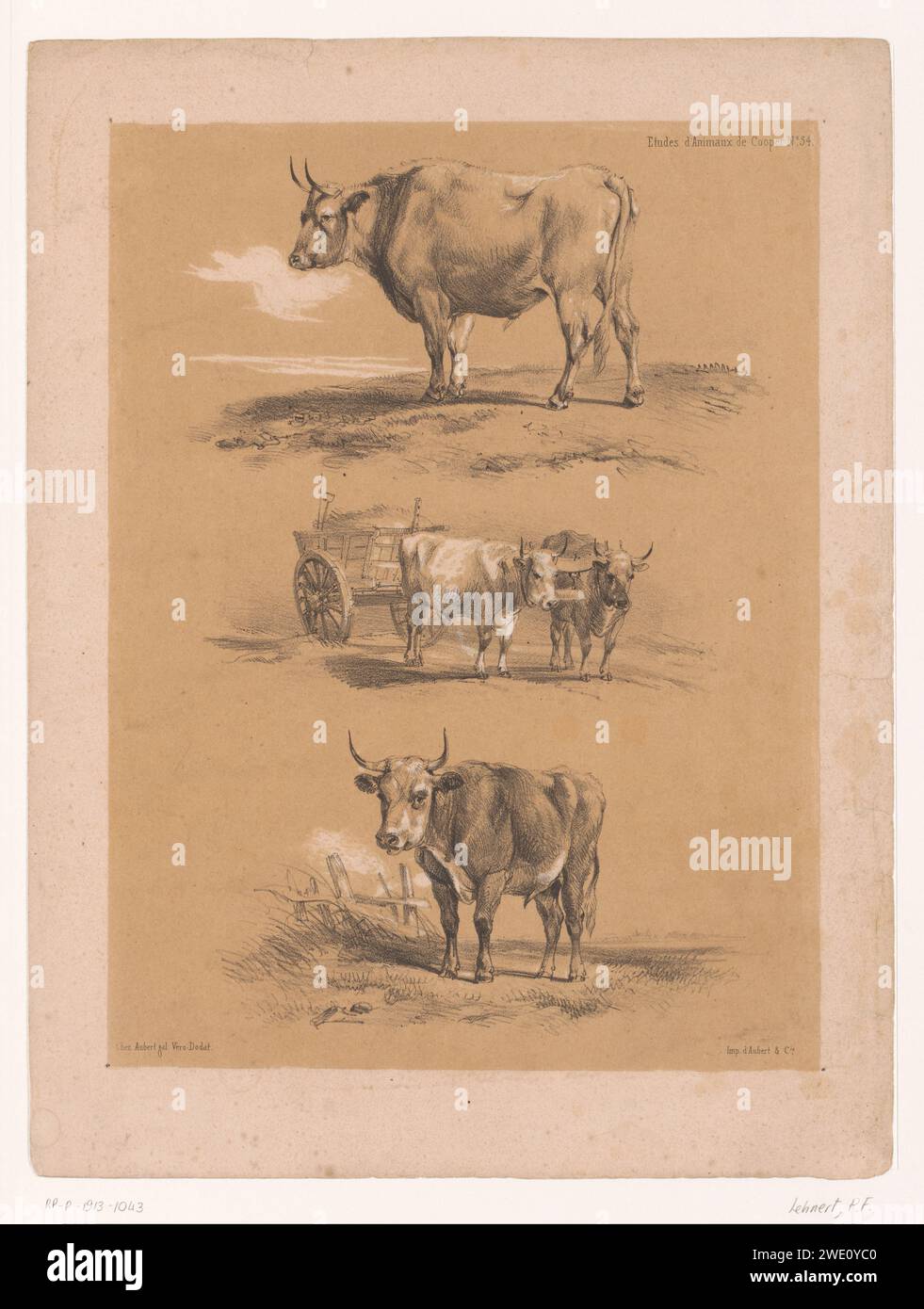 Three studies of Ossen and Ossenwagen, Pierre Frédéric Lehnert, 1838 ...