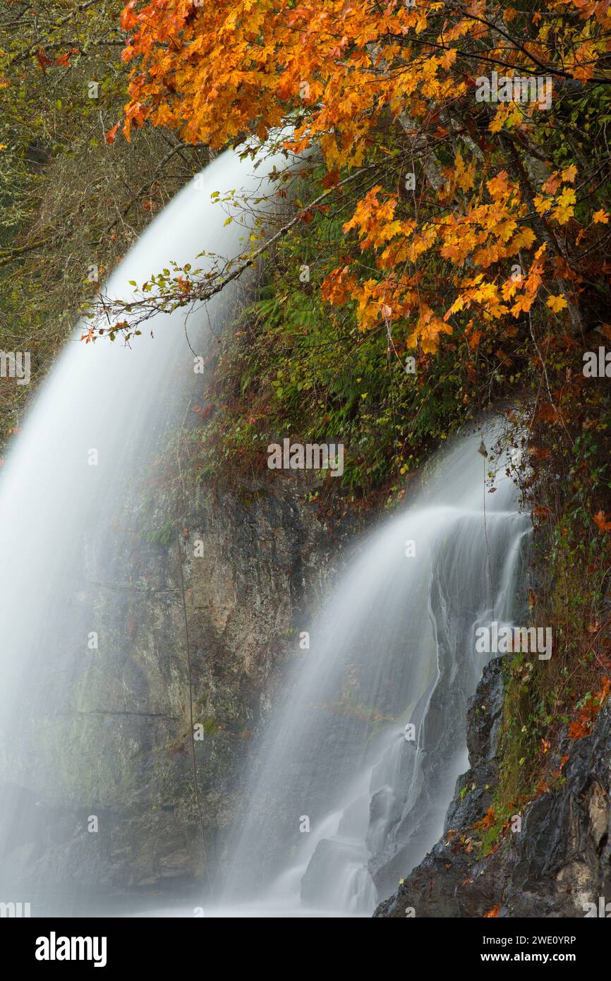 Waterfall along Lewis River, Lewis River Hatchery, Cowlitz County ...