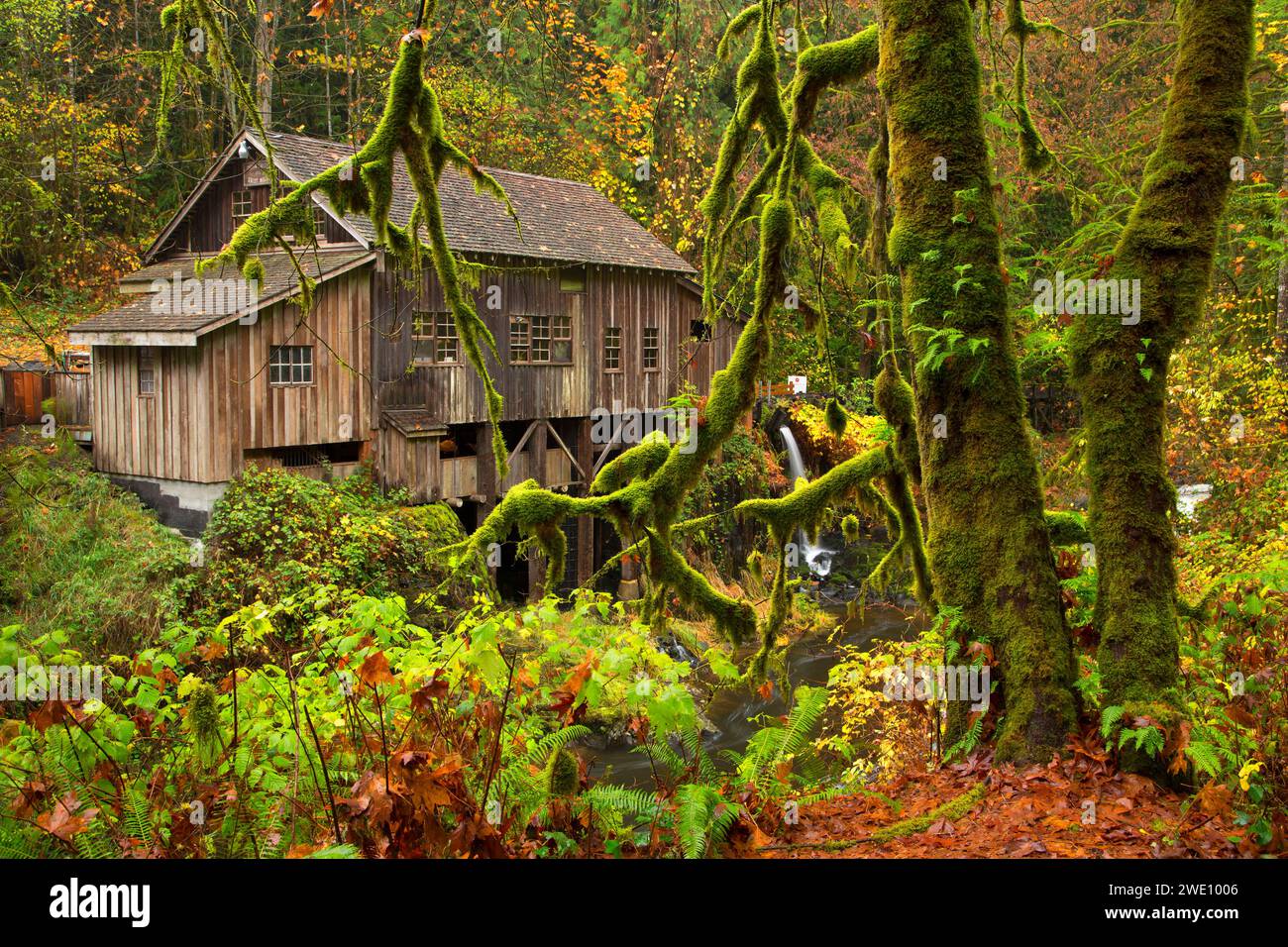 Cedar Creek Grist Mill, Clark County, Washington Stock Photo - Alamy