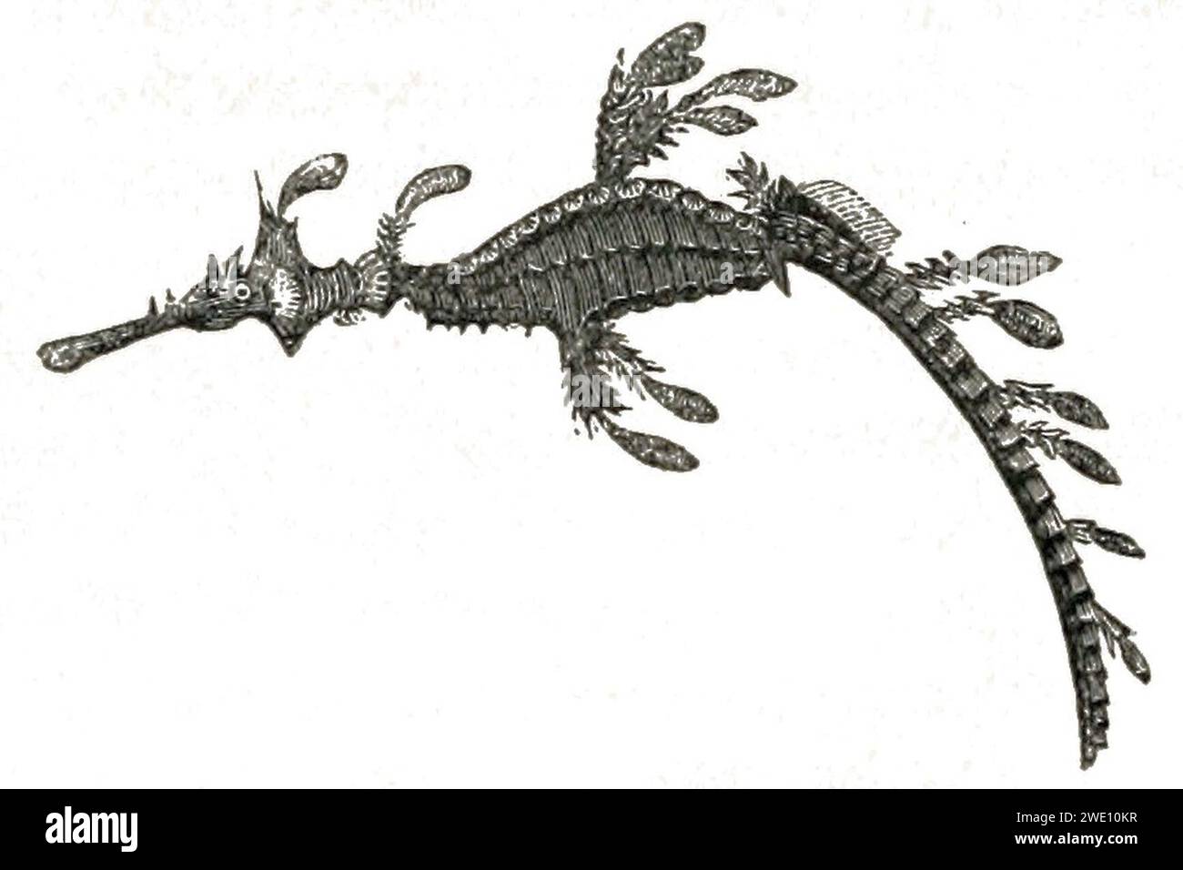 104b Cut Out Stock Images & Pictures - Alamy