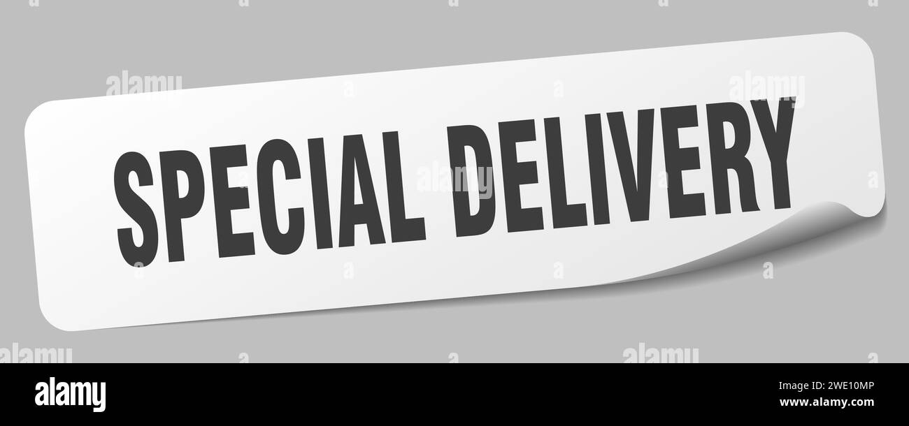special delivery sticker. special delivery rectangular label isolated ...