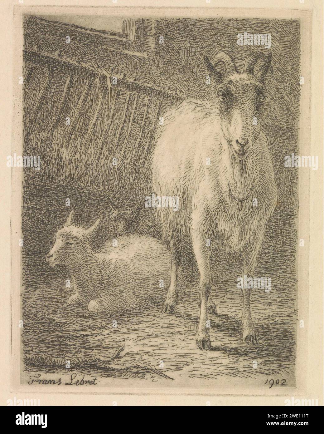 Goat with boy in a stable, French lebret, 1902 print Standing goat ...