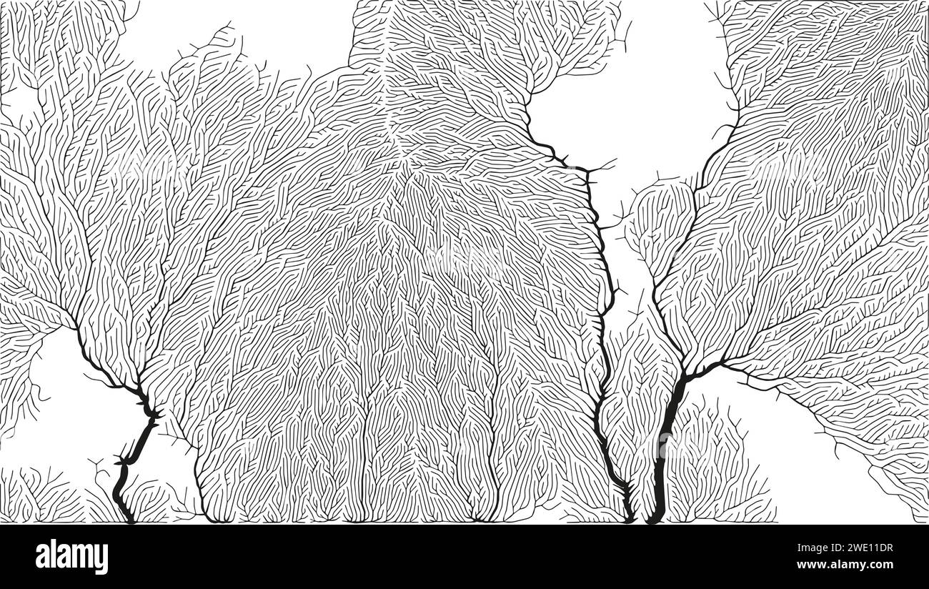 Growth pattern. Generative branching structure. Organic net of vessels ...