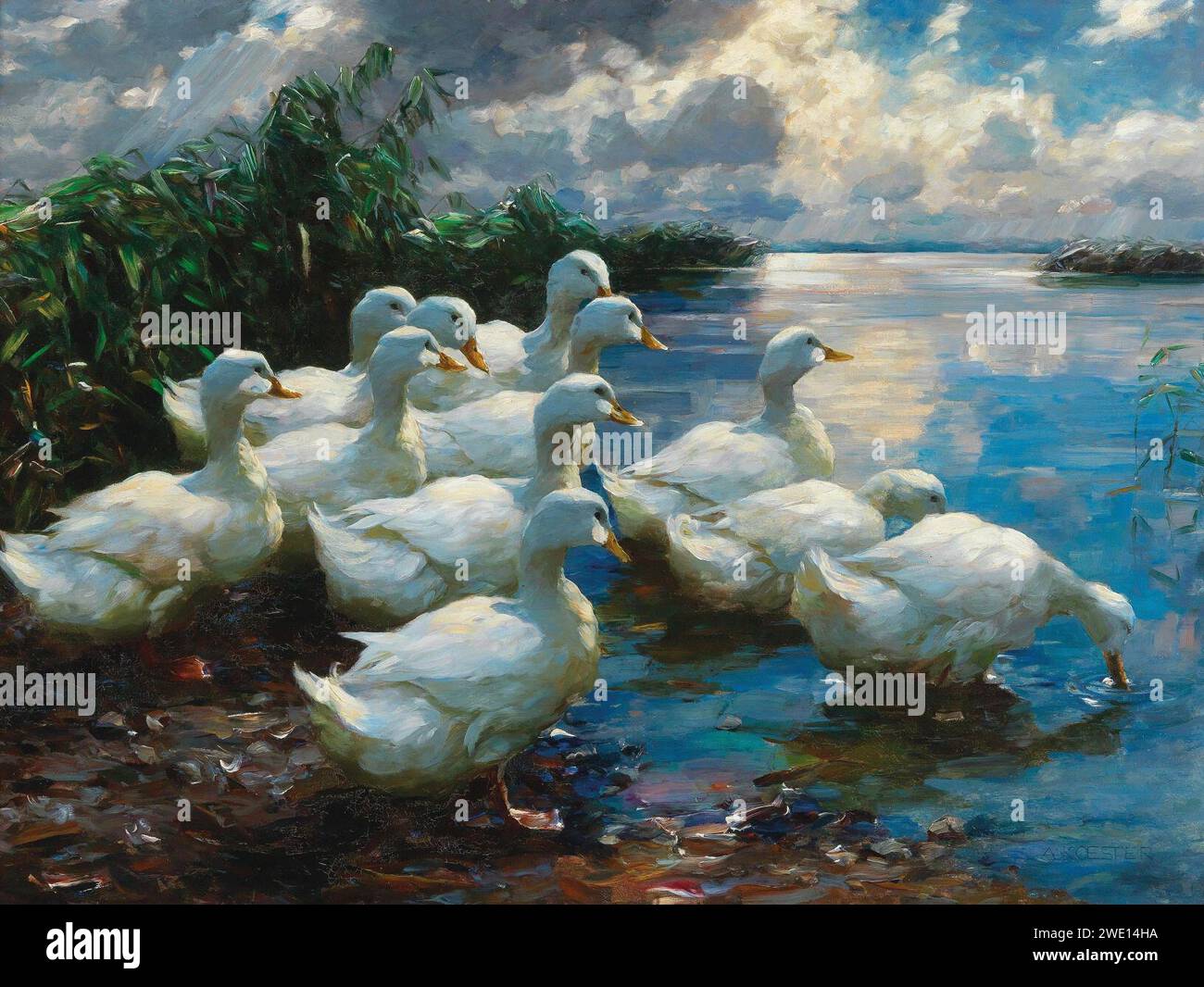 Alexander Koester - Ducks by a lake Stock Photo - Alamy