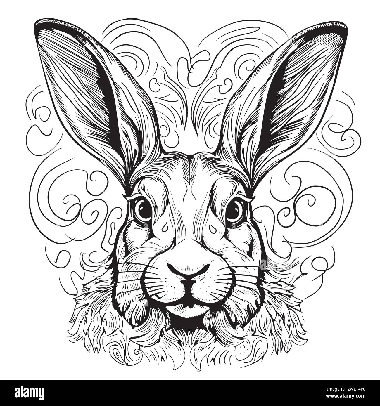 Rabbit drawing Cut Out Stock Images & Pictures - Alamy