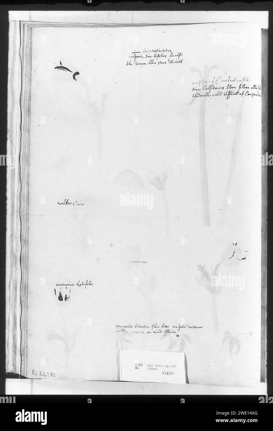 Alexander Marshal Stock Photo - Alamy