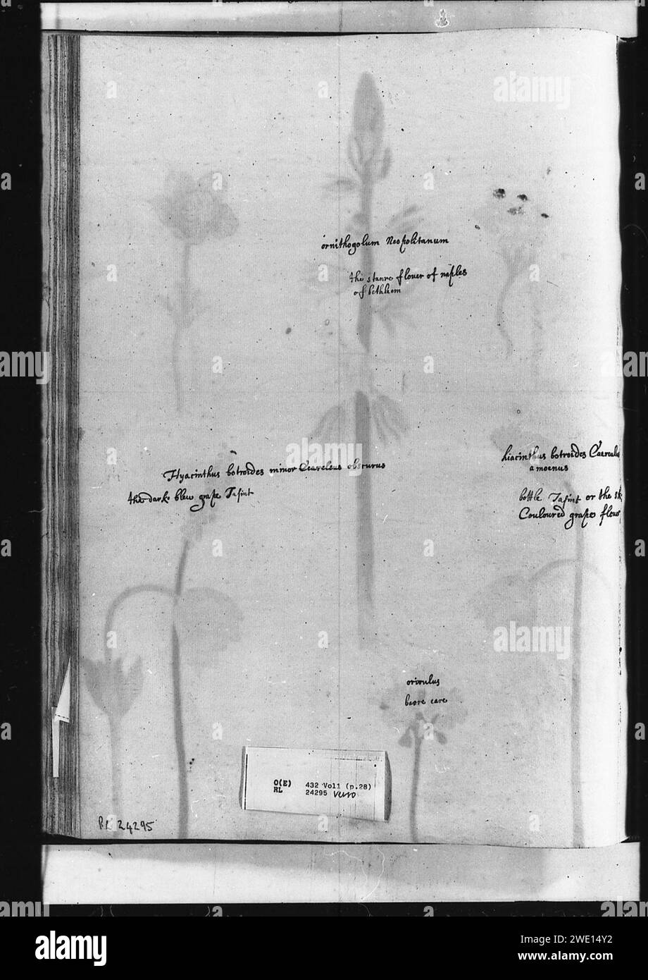 Alexander Marshal Stock Photo - Alamy