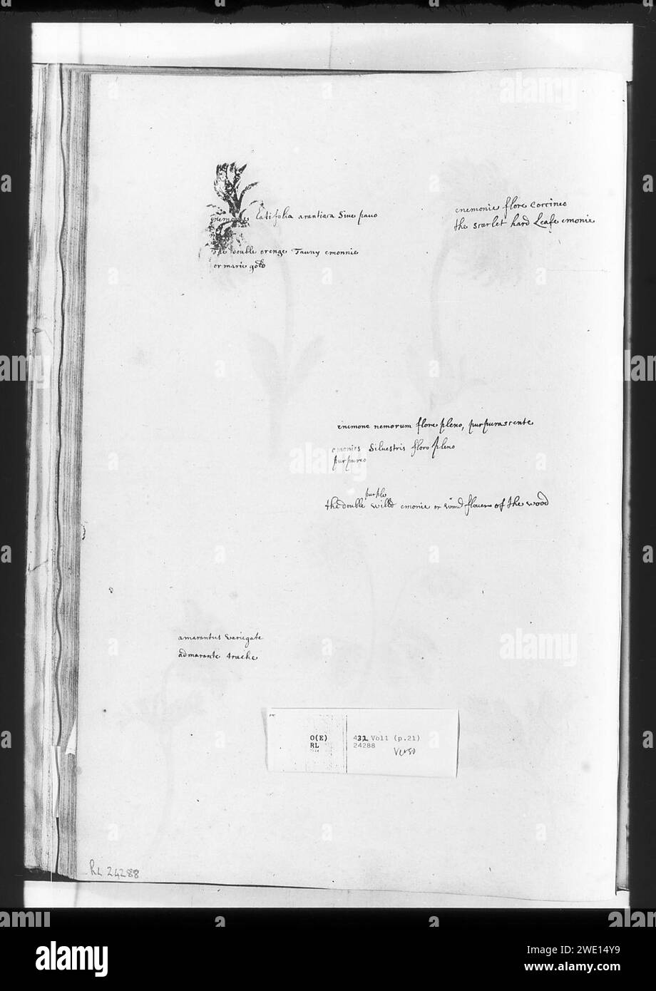 Alexander Marshal Stock Photo - Alamy