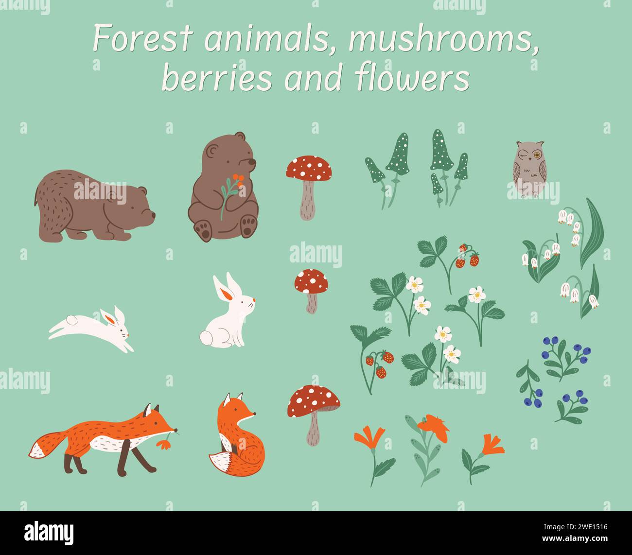 Vector clip art set, forest animals, mushrooms and wild berries. Vector ...