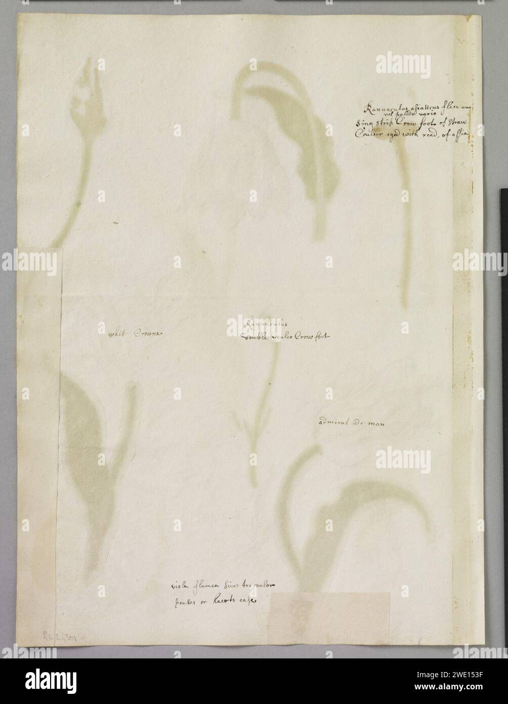 Alexander Marshal Stock Photo - Alamy