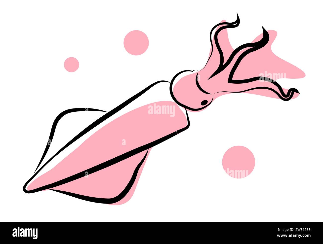 Black white image squid Stock Vector Images - Alamy