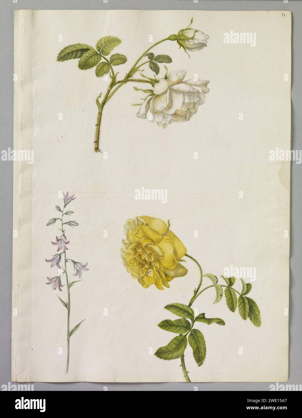 Alexander Marshal Stock Photo - Alamy