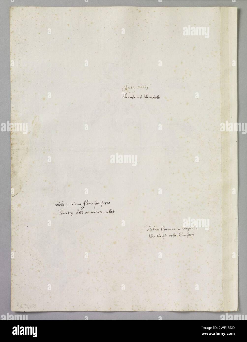 Alexander Marshal Stock Photo - Alamy