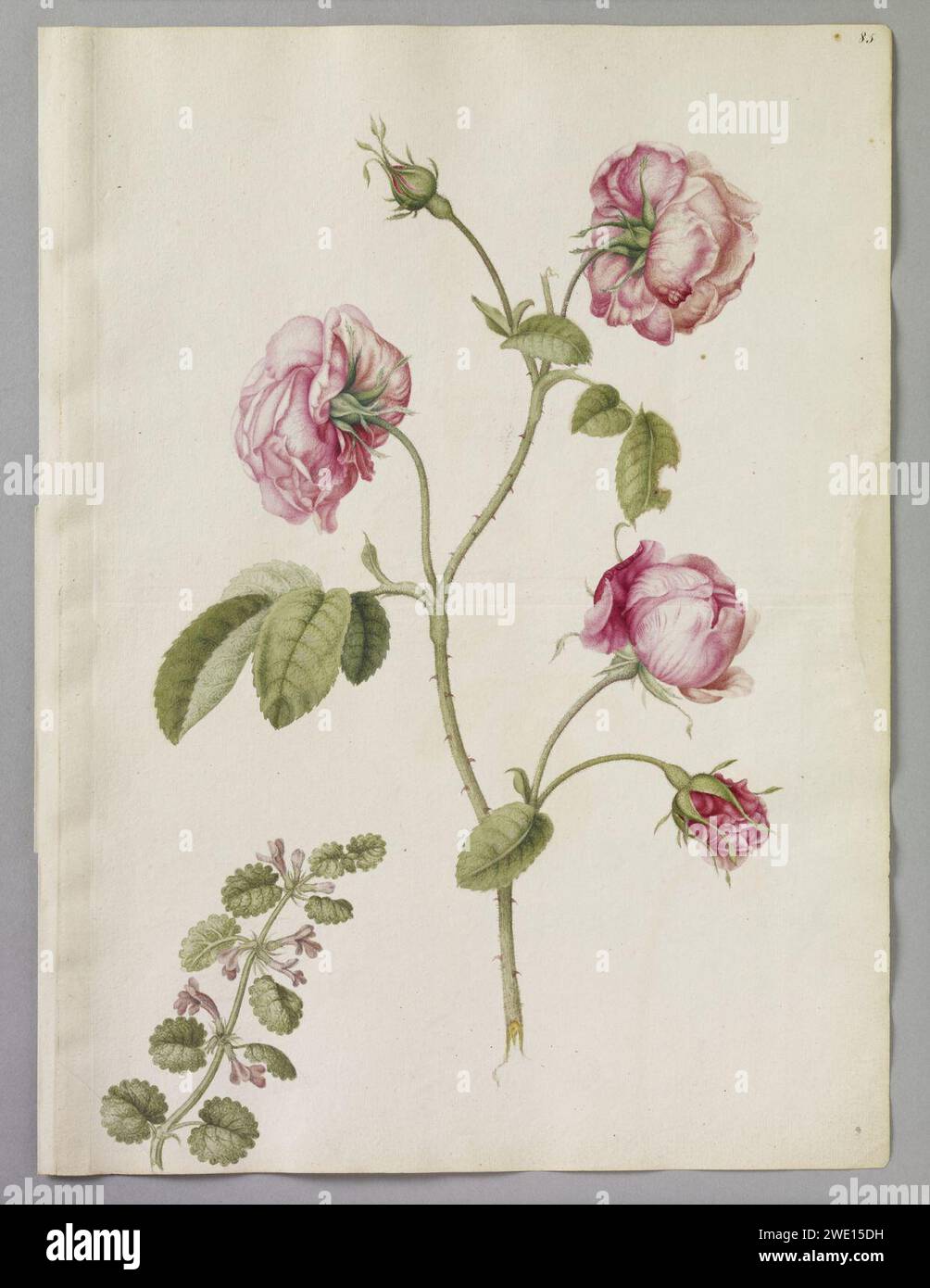 Alexander Marshal Stock Photo - Alamy