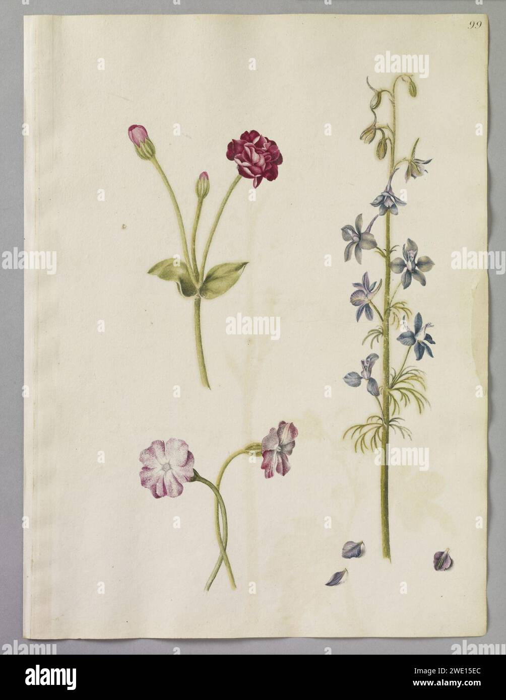 Alexander Marshal Stock Photo - Alamy