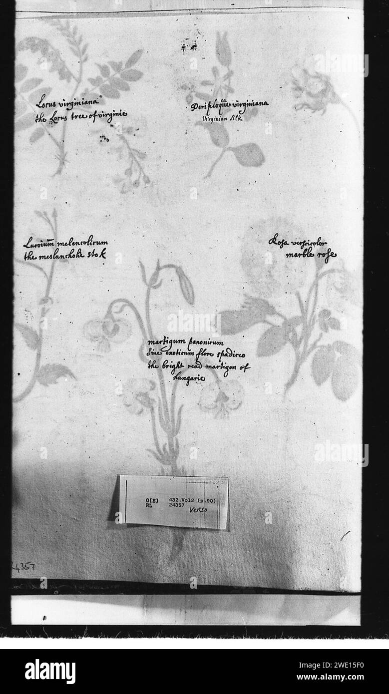 Alexander Marshal Stock Photo - Alamy