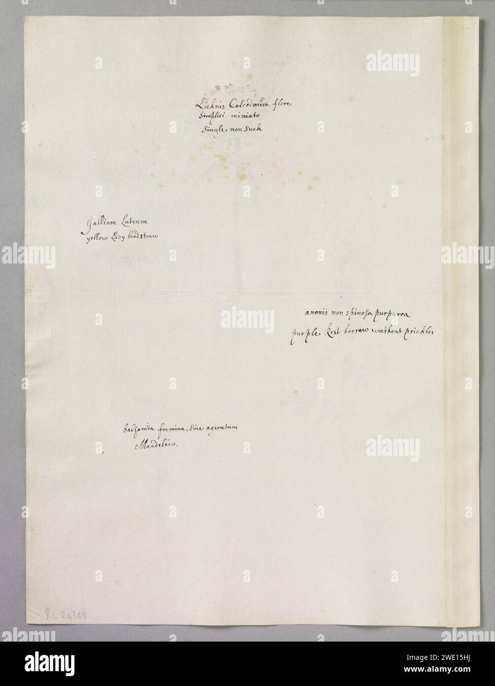 Alexander Marshal Stock Photo - Alamy