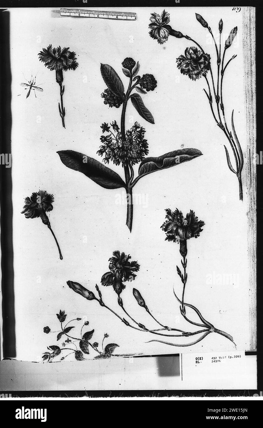 Alexander Marshal Stock Photo - Alamy