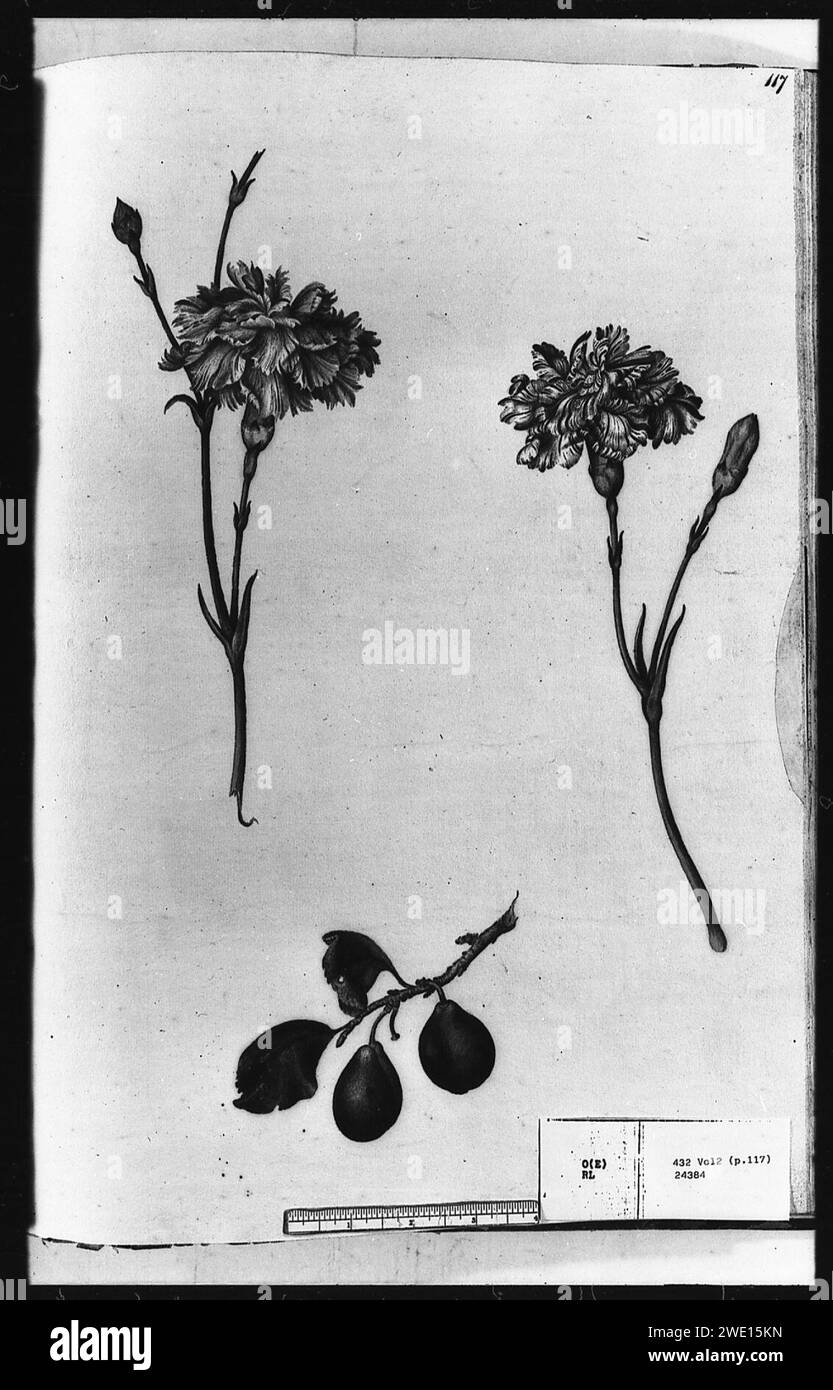 Alexander Marshal Stock Photo - Alamy