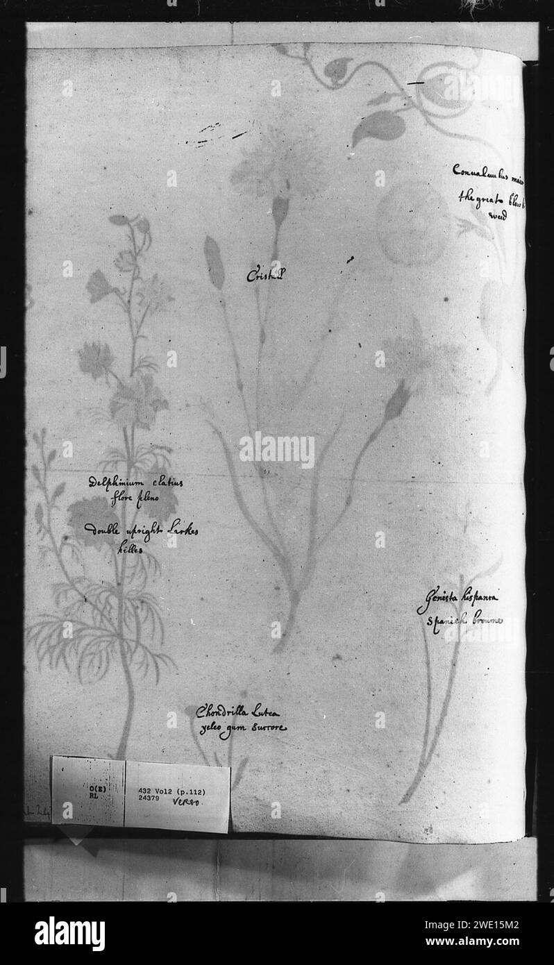 Alexander Marshal Stock Photo - Alamy