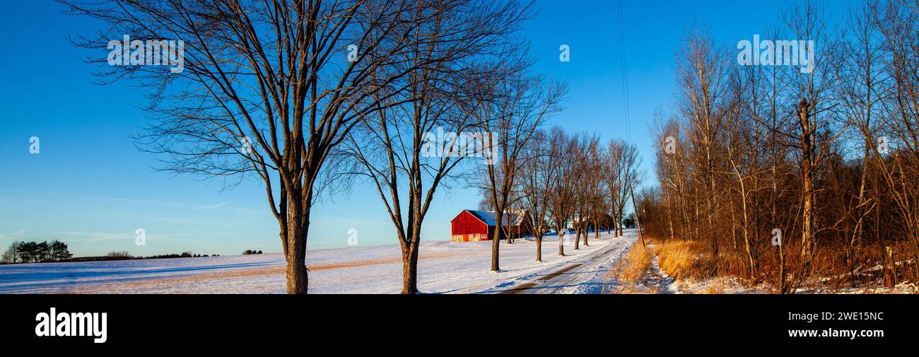 Wisconsin driveway leading to a red barn with snow in January, panorama ...